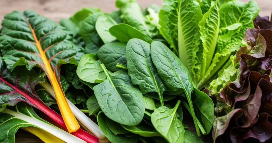 Setembro é o Novo Começo: Como Cultivar Verduras de Folha para ...