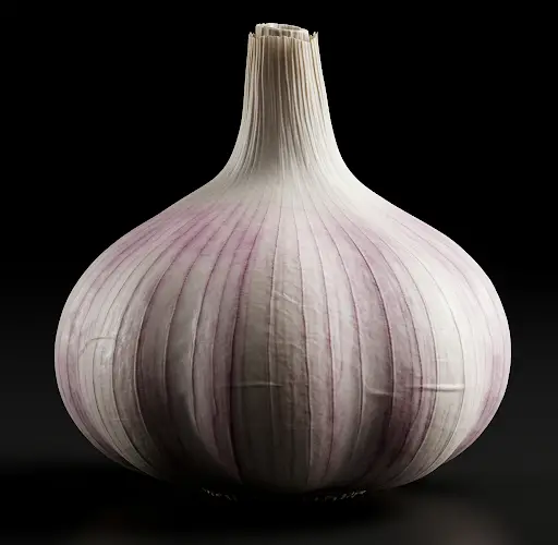 O melhor fertilizante natural para qualquer planta! – Dicas Para Nossa Casa